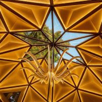 Arbor Arena by Selvagen - Parametric Architecture