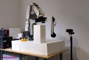 Fabricating An Evolution of Design Using Robotic Technology