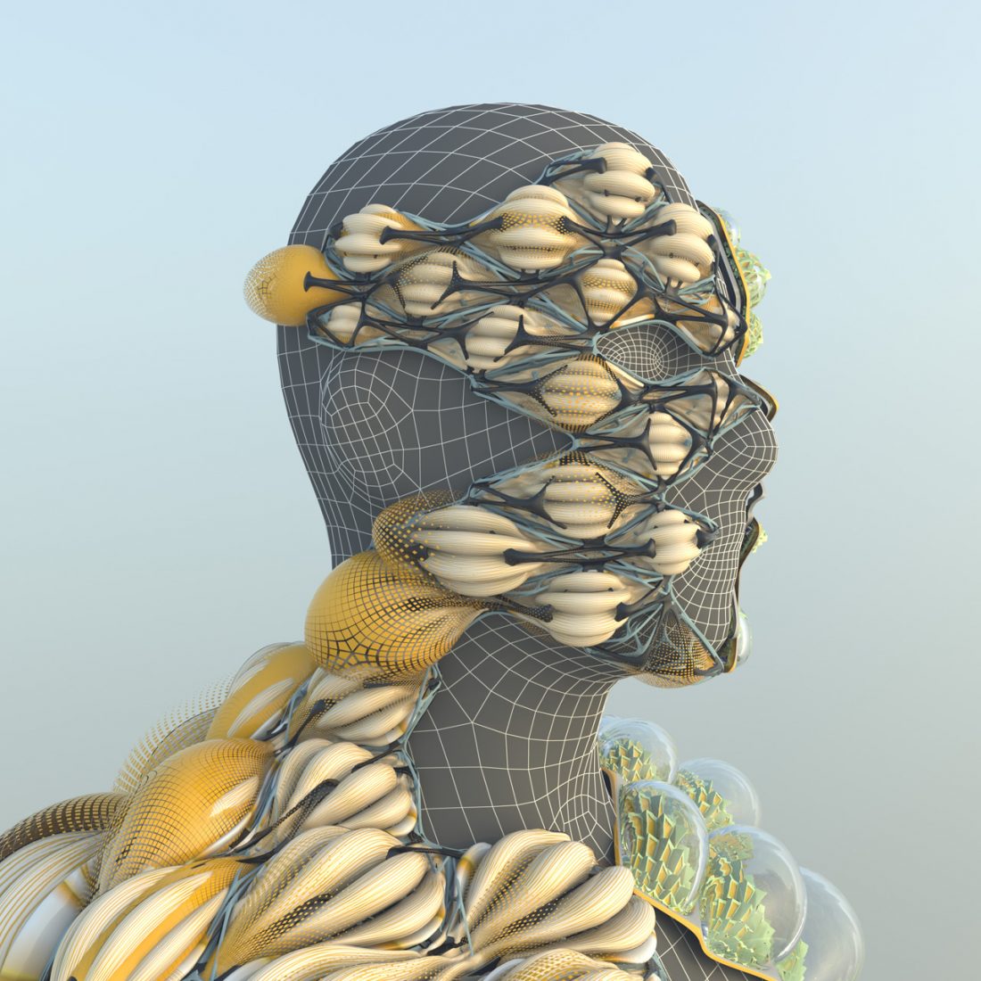 DesignMorphine Webinars