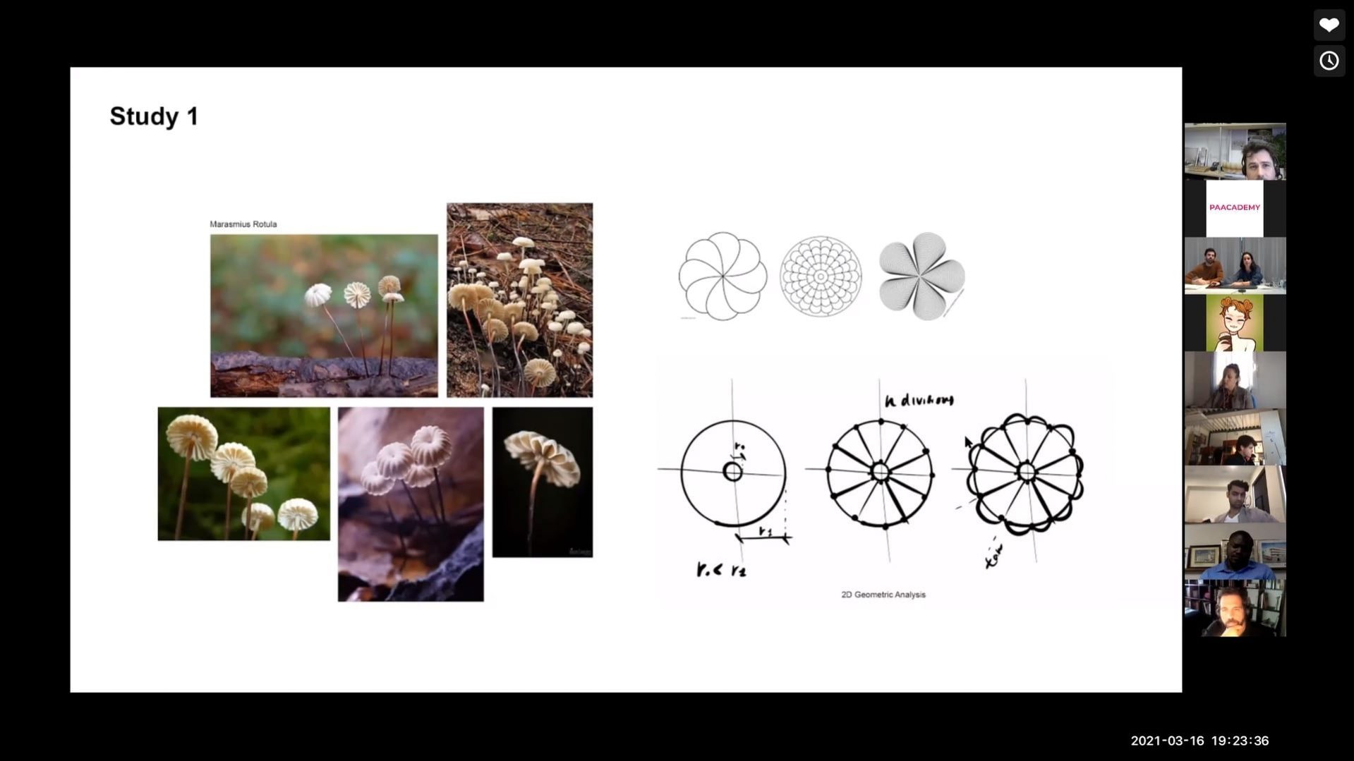 Eco-Parametric Structures - Blending Parametric Design with Sustainability