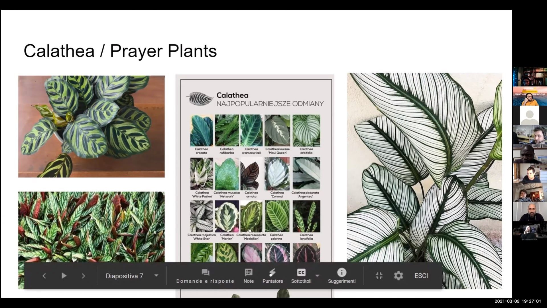 Eco-Parametric Structures - Blending Parametric Design with Sustainability