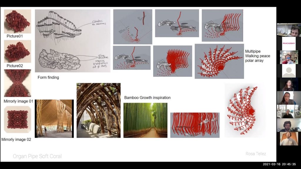 Eco-Parametric Structures - Blending Parametric Design with Sustainability