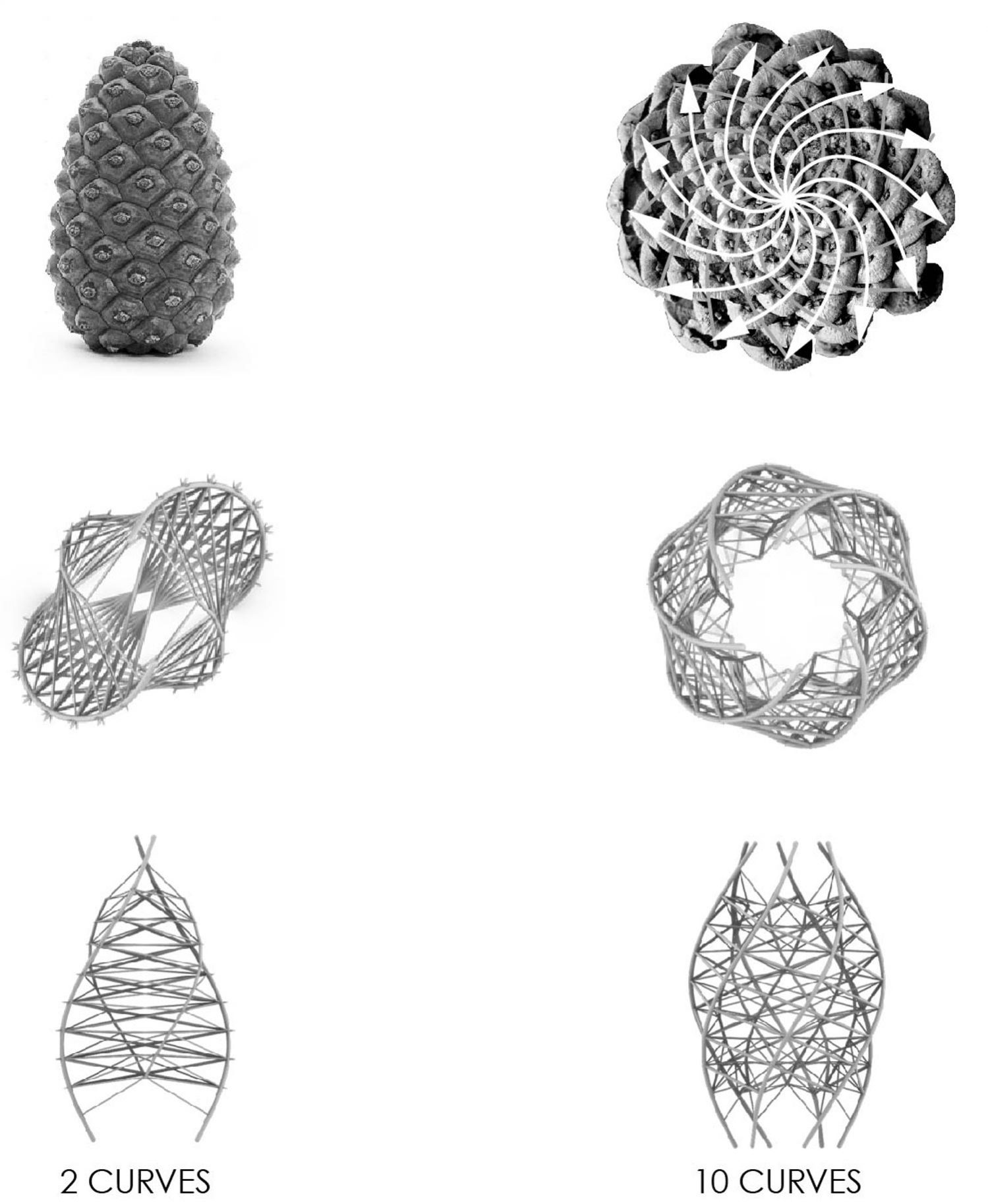 NARTURE - Eco-Parametric Structures - PAACADEMY