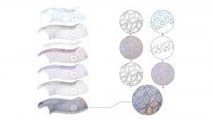 Metaplas: The Decentralized Material System Fabrication