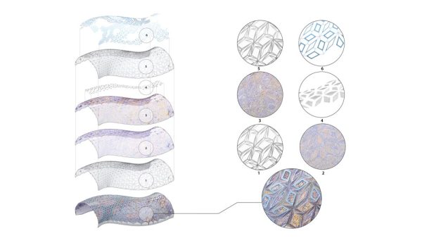 Metaplas: The Decentralized Material System Fabrication