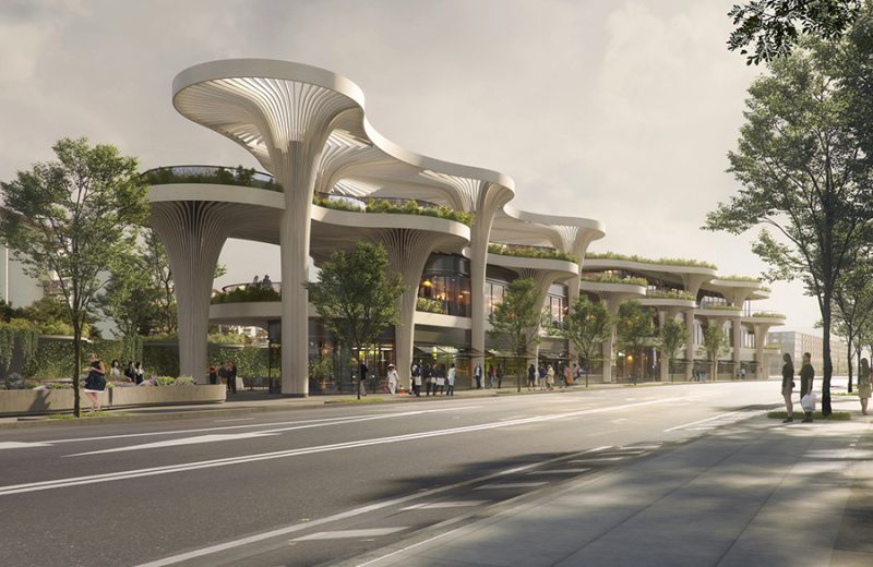 Solar Trees Marketplace Designed by Koichi Takada Architects