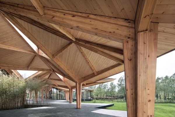 Forest Building Triangulated & Trussed by Trace Architecture Office