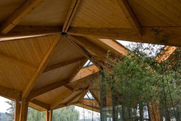 Forest Building Triangulated & Trussed by Trace Architecture Office