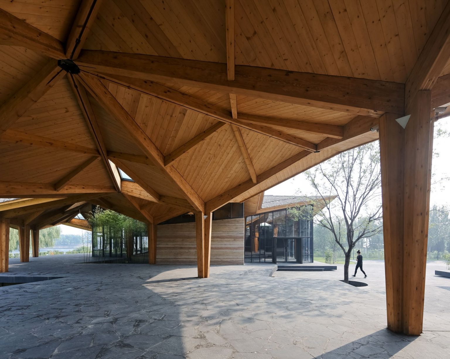 Forest Building Triangulated & Trussed by Trace Architecture Office