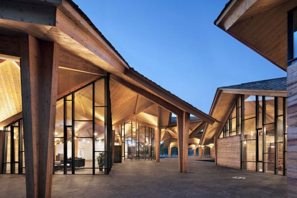 Forest Building Triangulated & Trussed by Trace Architecture Office