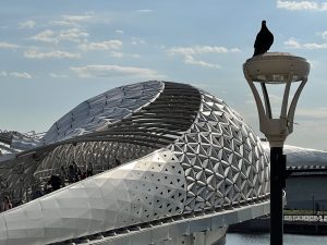 Atyrau Bridge: A Shelled Magnificence Woven by New Moon Architects