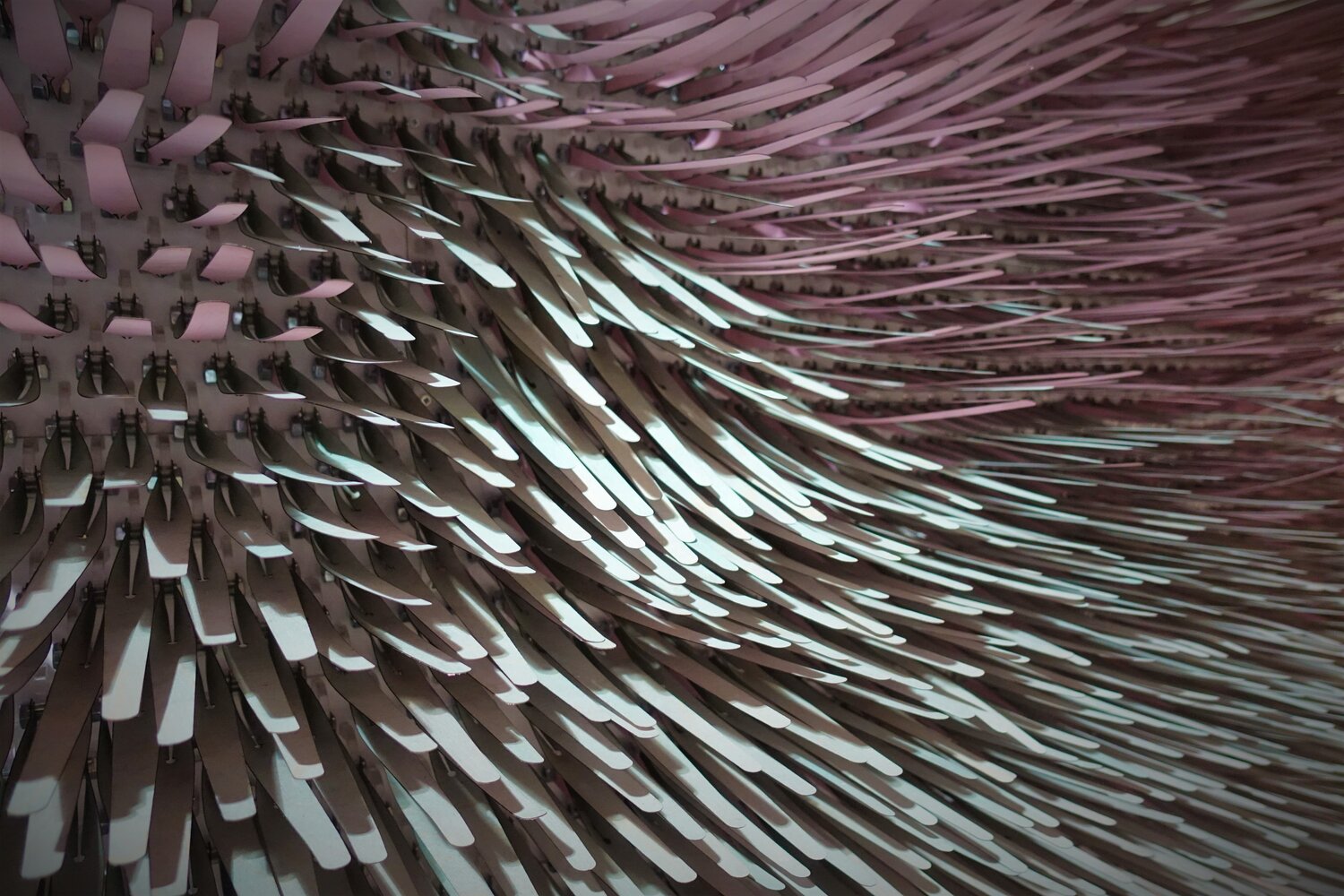 NEON+-+Wonderwall+-+7 - Parametric Architecture