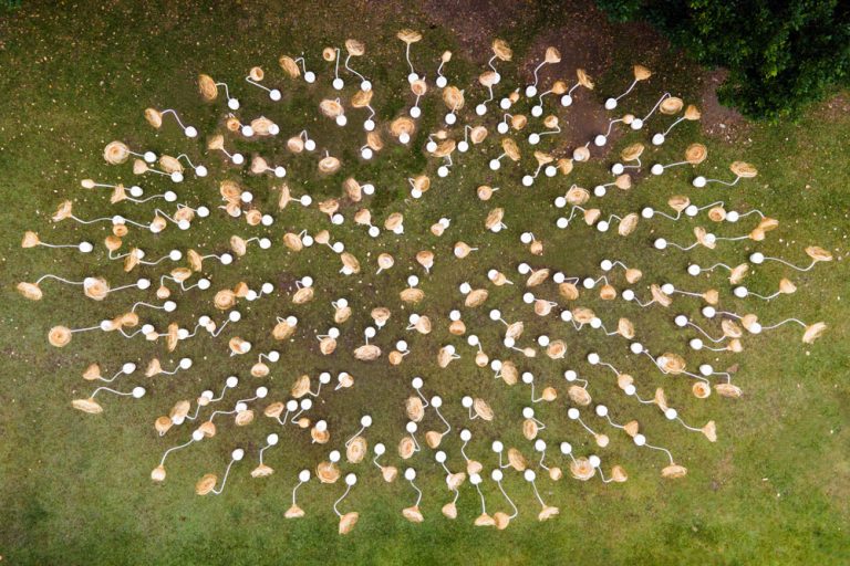 The Thank You Bouquet Art Installation - Parametric Architecture