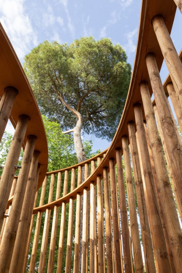 Pavilion Let's Play! is an Intersection of Sensory, Playful, And Adventure