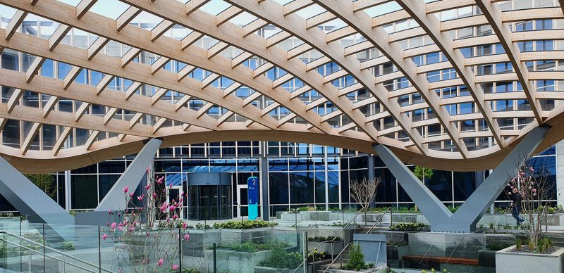 "Campus Canopy" Ingeniously Engineered To The Smallest Detail