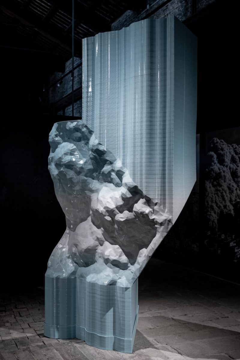 An artistic and innovative way to transform marine waste: Plasticity