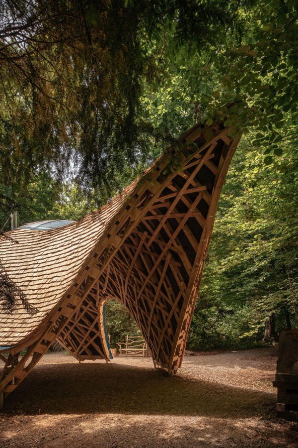 Oak Community Built Shelter: Westonbirt, The National Arboretum