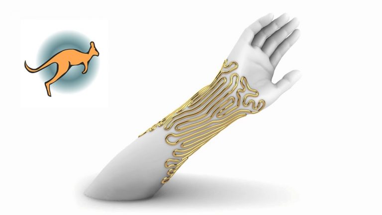 Kangaroo 3D: A Form-finding, optimized, and constraint-solving engine