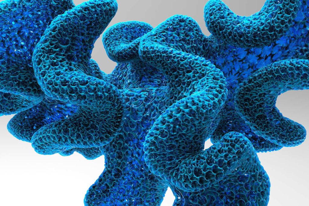 Pufferfish: Upscaling architecture through its intricacies