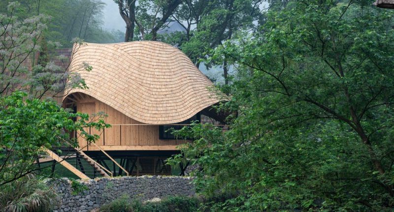 The curved roof of the "Treewow Villa O" tree house