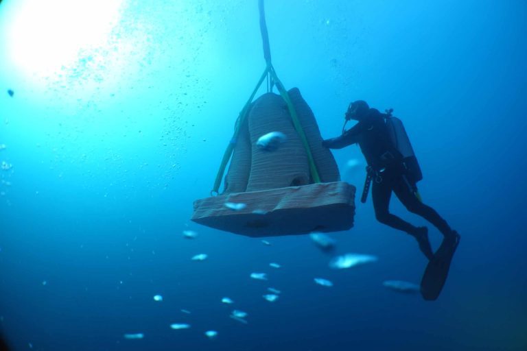 3D-printed artificial reefs to restore coral ecosystems
