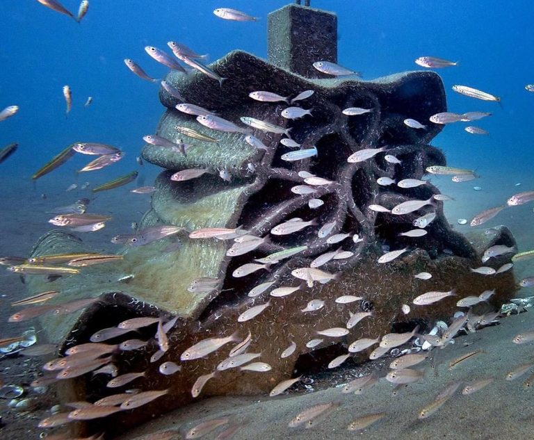 3D-printed artificial reefs to restore coral ecosystems