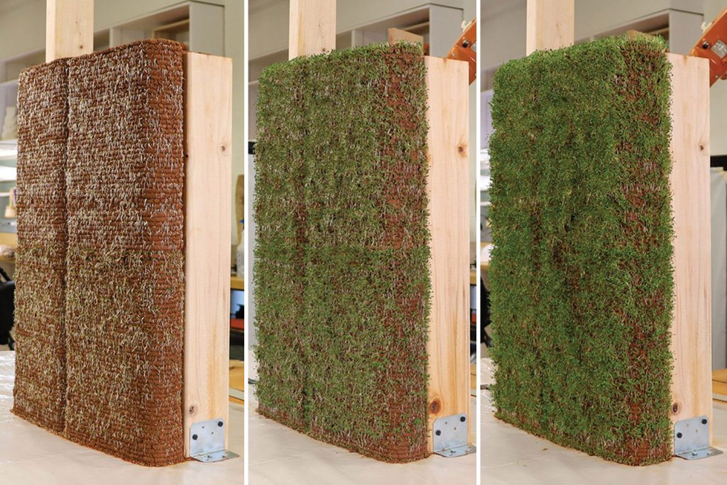 University of Virginia 3D-prints living structures that can grow plants