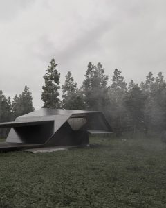 Blackbird resembles a spaceship that can land anywhere