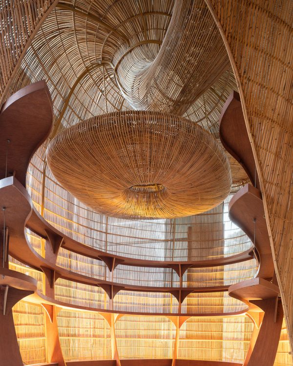 Rattan installation's natural forms in gallery composition