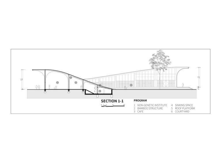 Qionglai Bamboo Pavilion creates a feeling of walking in a bamboo forest