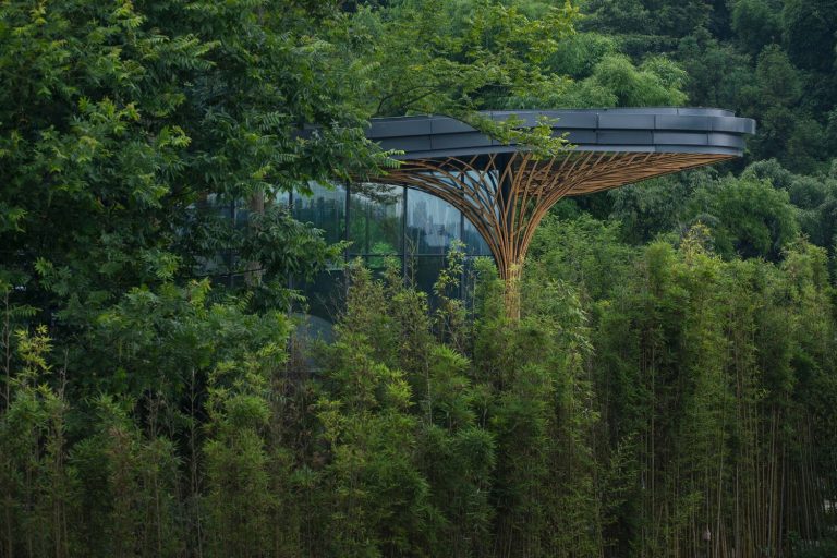 Organic architecture: Harmony between nature and built environment