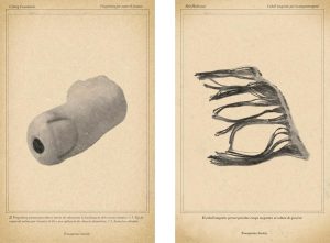 Cyborg Humans: Artificial Senses (AS) vs. Artificial Intelligence (AI)