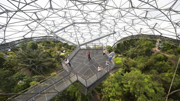 Biomimicry in architecture: Nature-inspired design