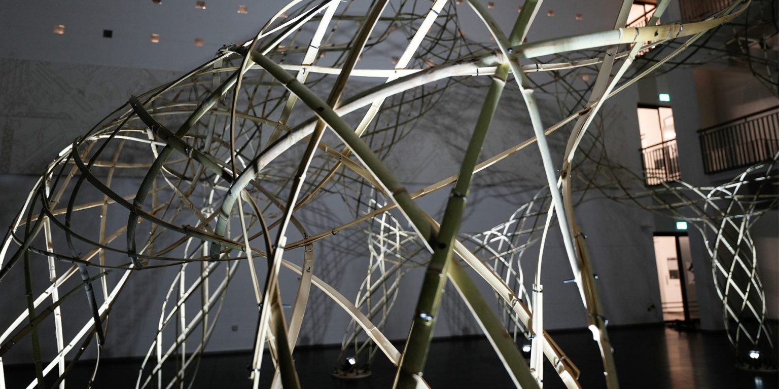 BamX!, a computationally designed bamboo pavilion