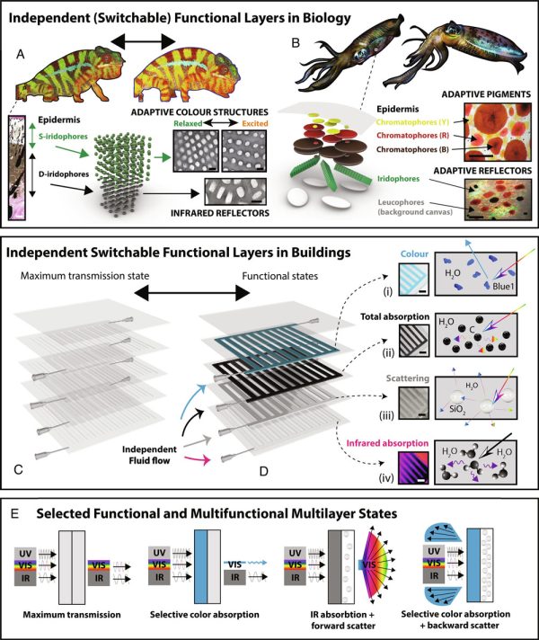 Researchers develop energy-saving multi-layer "liquid window"