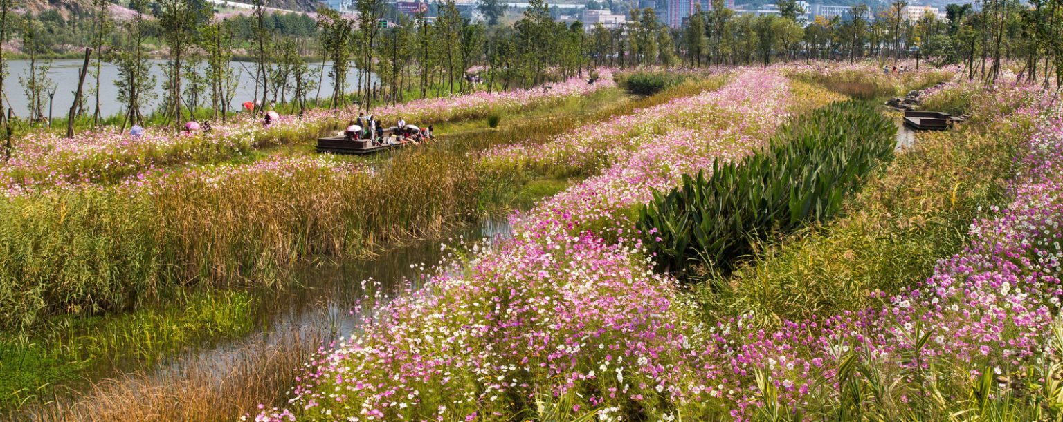 Minghu Wetland Park by Turenscape - PA | Architecture and Technology