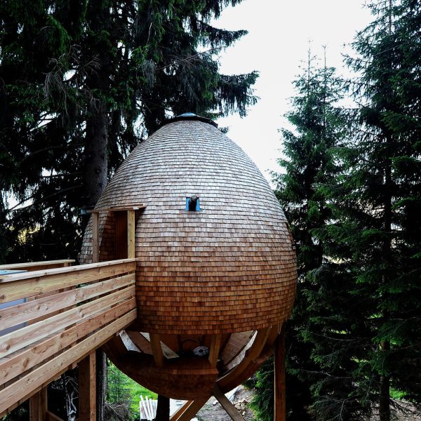 10 stunning treehouses you would like to stay