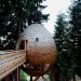 10 stunning treehouses you would like to stay