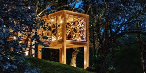 10 stunning treehouses you would like to stay