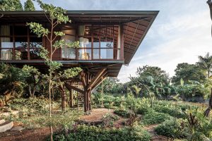 10 stunning treehouses you would like to stay