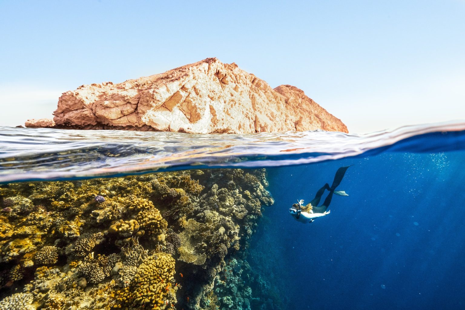NEOM partners with Getty Images, Unsplash for visual library