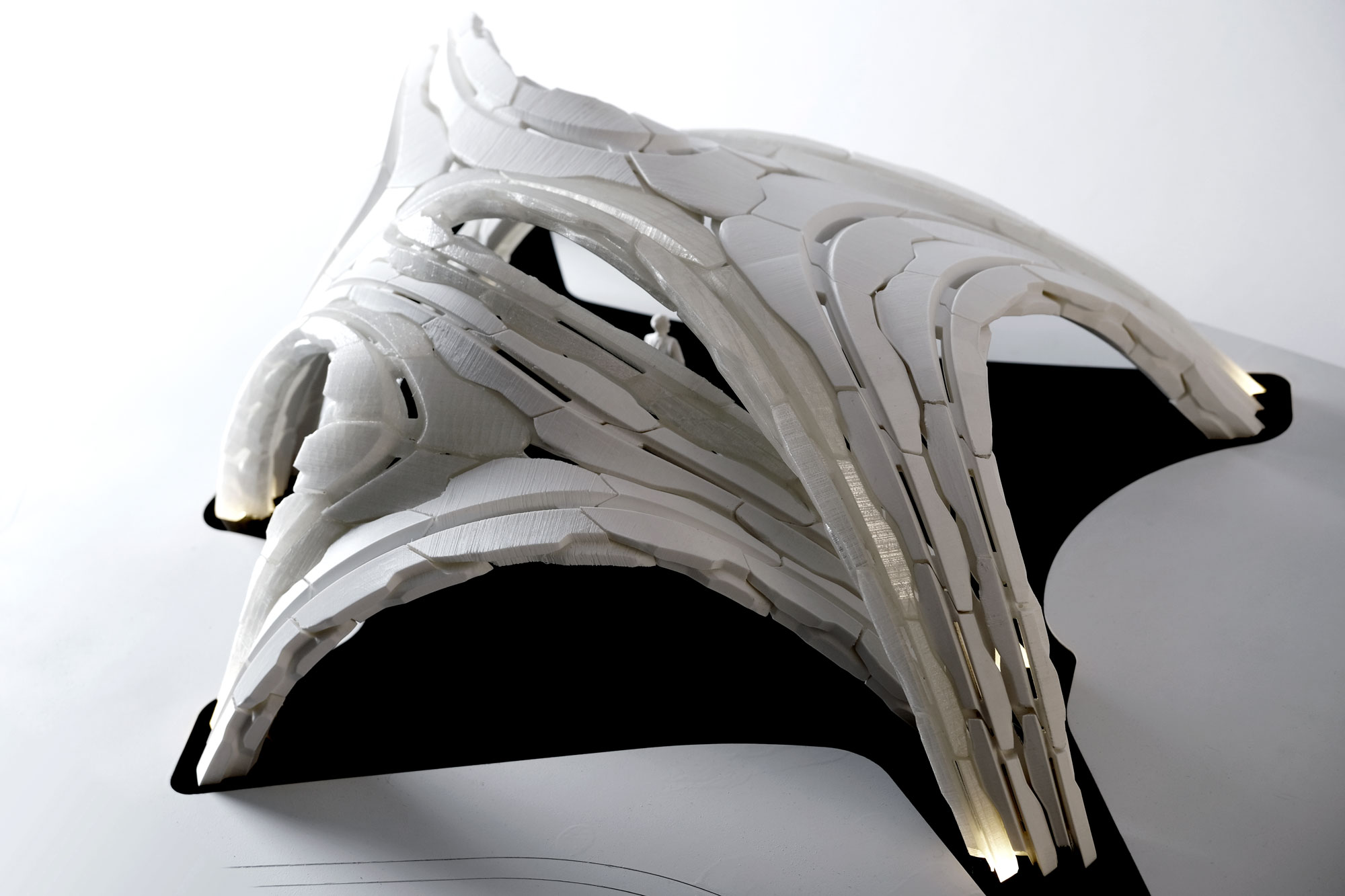 Insights from Alessandro Zomparelli’s Blender Tissue add-on