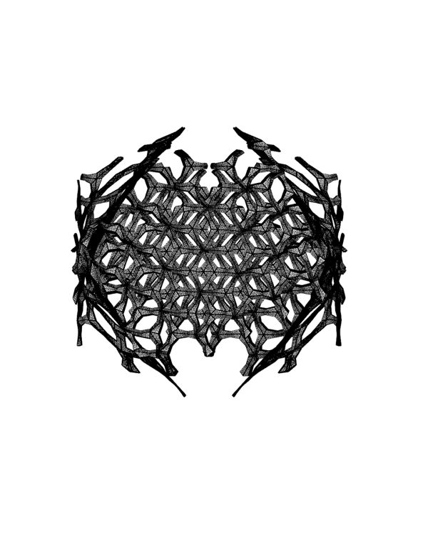 Unleashing the potential of parametric geometries with Nolan Kim