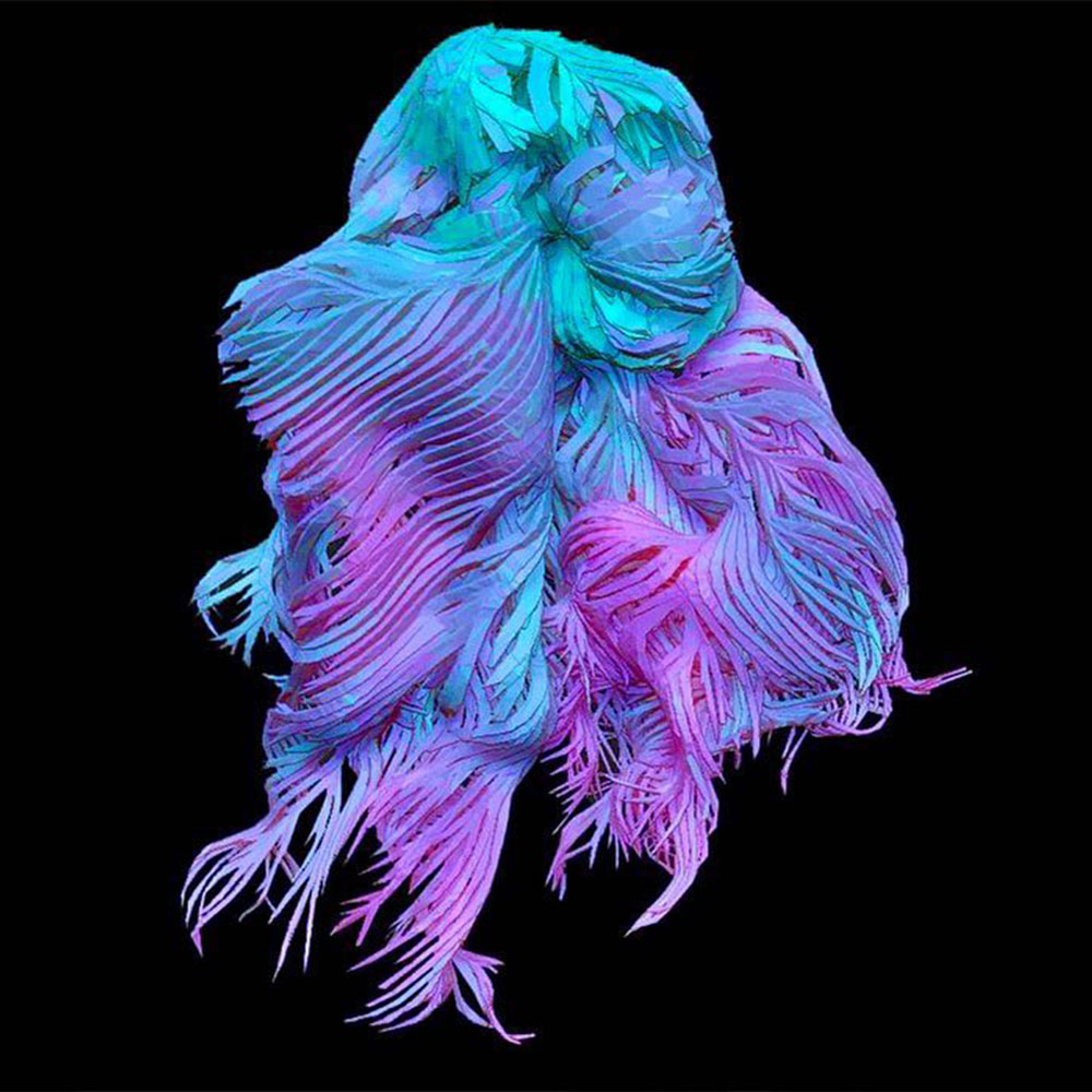 CDNEXT14_Natalie-Alima_works - Parametric Architecture