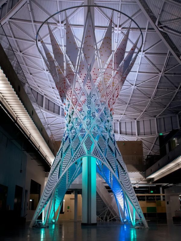 Eddy and Shroud explore multi-tiered canopy with enclosed spaces