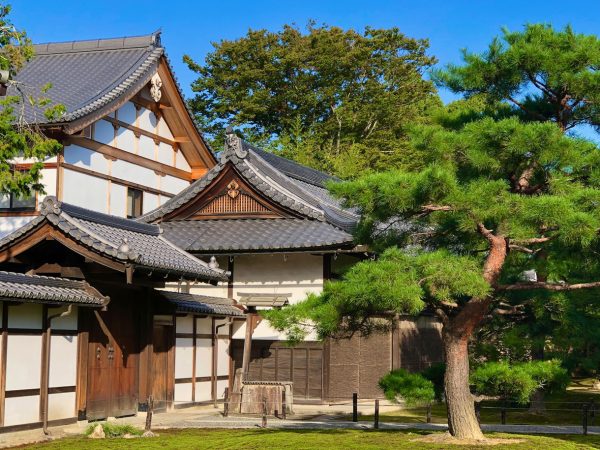Japanese Architecture: Evolution, features, and examples