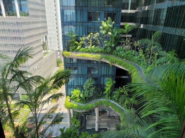 Top 10 Examples of Most Sustainable Architecture in 2025