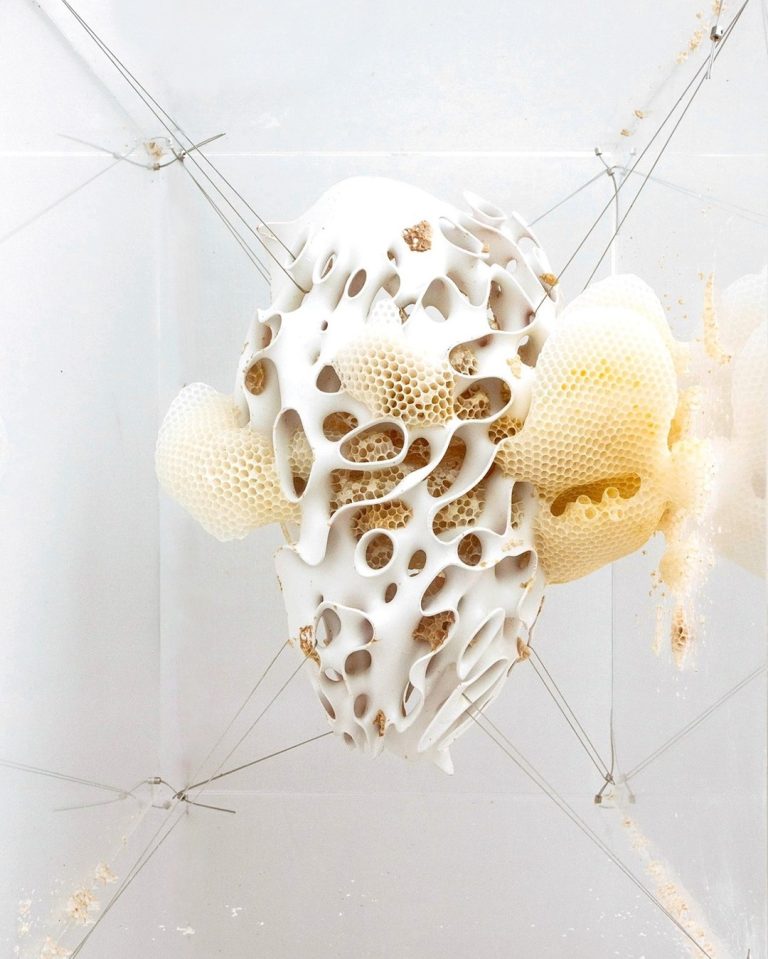 Neri Oxman discusses bio-art, engineering on Lex Fidman Podcast
