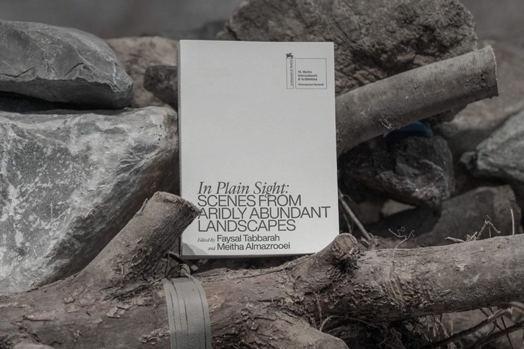 In Plain Sight: Scenes from Aridly Abundant Landscapes