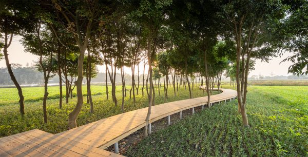 Tianfu Forest Tower stands guard over the site's five symbolic